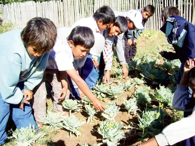 La formación docente para las escuelas rurales (4) - Escolar - ABC Color