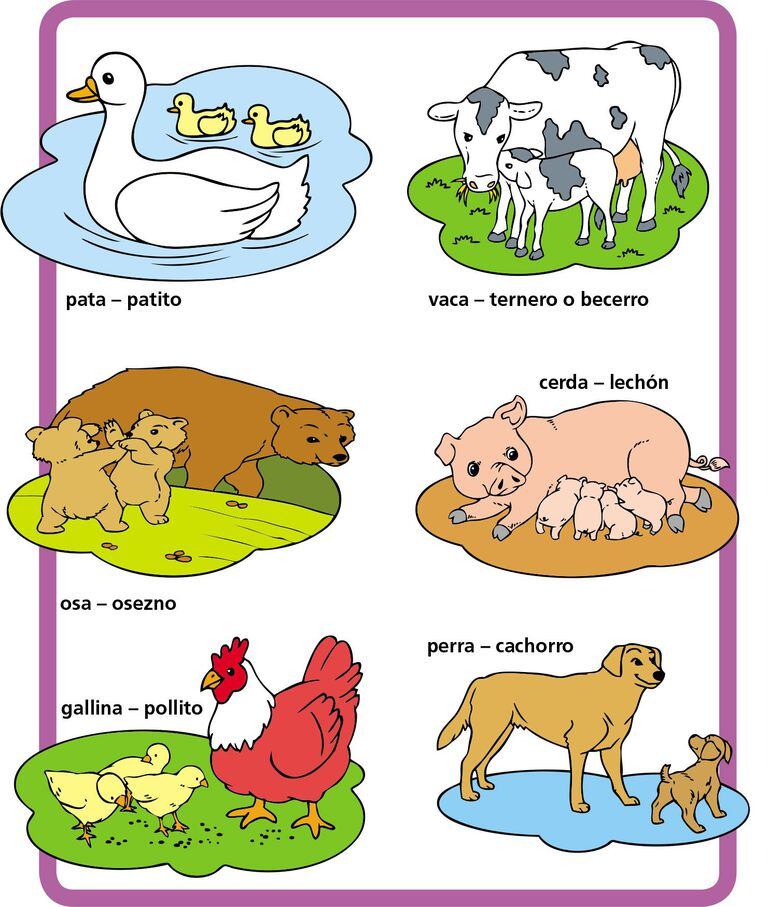 Las crías de los animales - Escolar - ABC Color