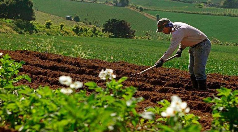 Vivir en el campo: el placer de respirar aire puro en contacto con la ...