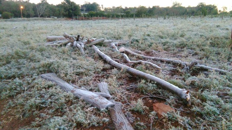 Escarchas en todo el país - Galerías de imágenes - ABC Color