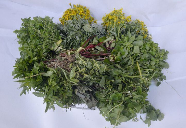 Siete hierbas en el tereré, también ayudan - Día del Poha Ñana y Día ...