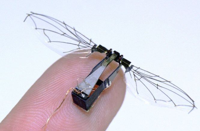 Crean un robot mosca - Mundo Digital - ABC Color