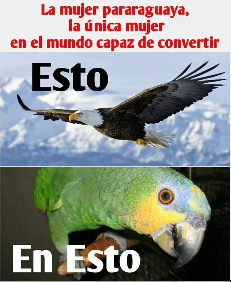 Una mujer capaz - Soy un viral - ABC Color