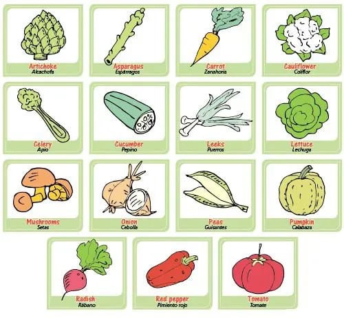 Nombres De Vegetales