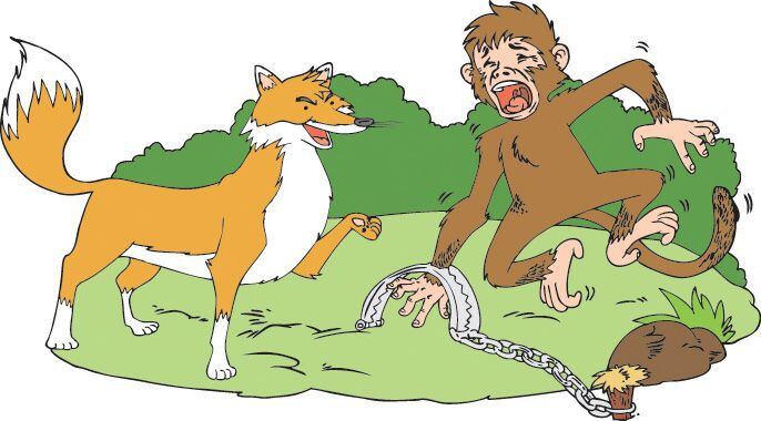 Aguara ha Ka’i - Escolar - ABC Color