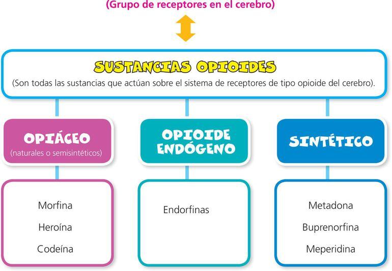 El opio y sus derivados - Escolar - ABC Color