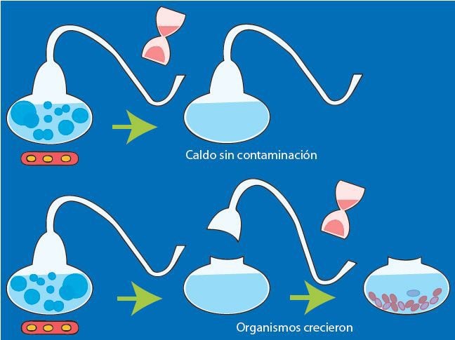 Teorías sobre el origen de la vida: generación espontánea y biogenésis ...