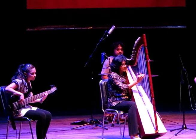 Norma Ortega lanzará CD de arpa - Artes y Espectáculos - ABC Color