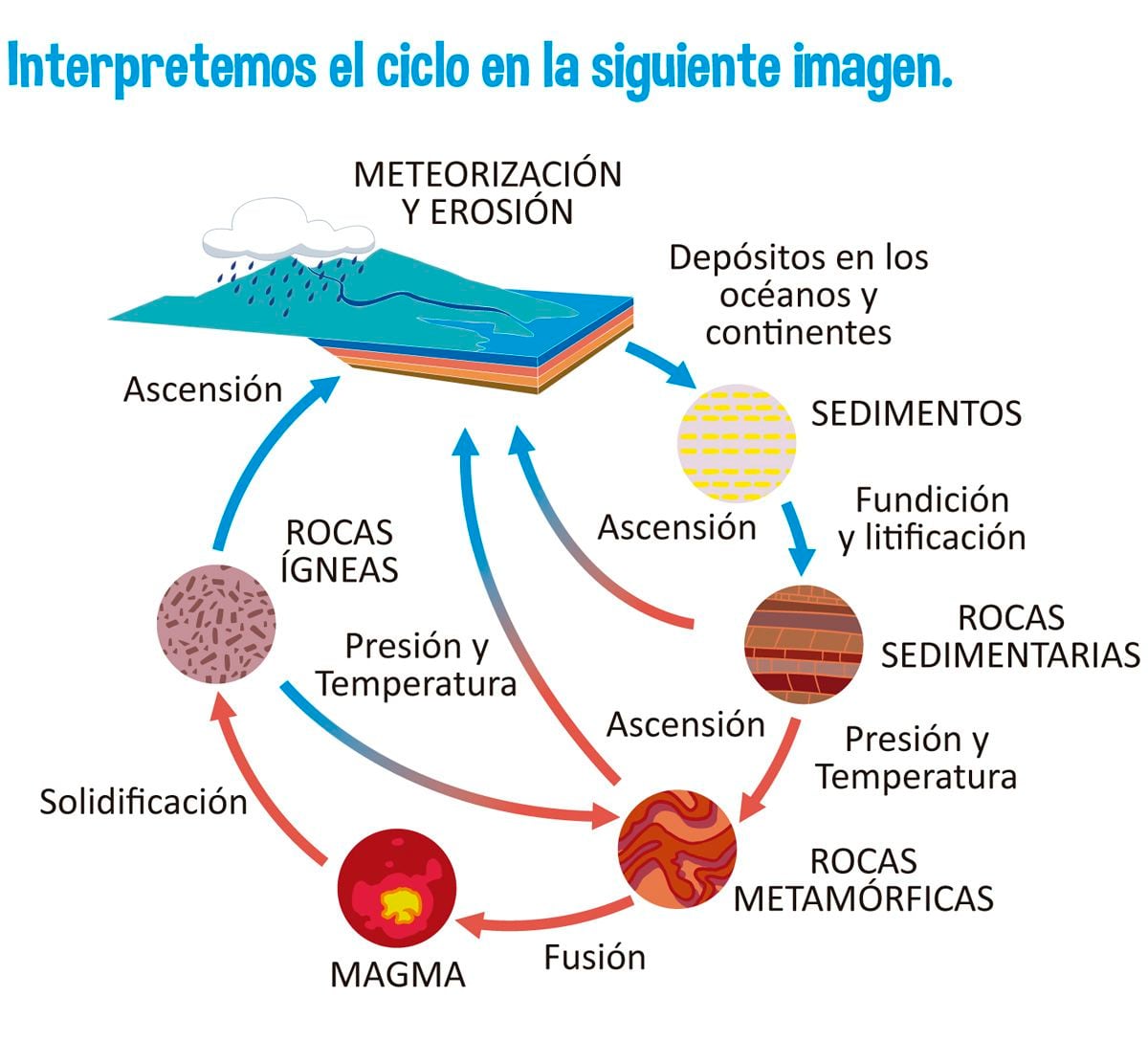 Dibujo De Rocas Sedimentarias Rocas Sedimentarias: Tipos, Subtipos Y