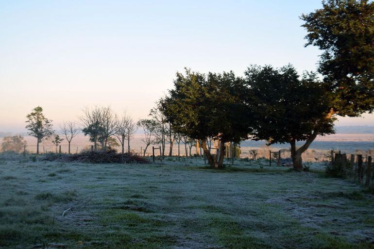 Recomiendan proteger cultivos ante eventuales heladas - Nacionales ...
