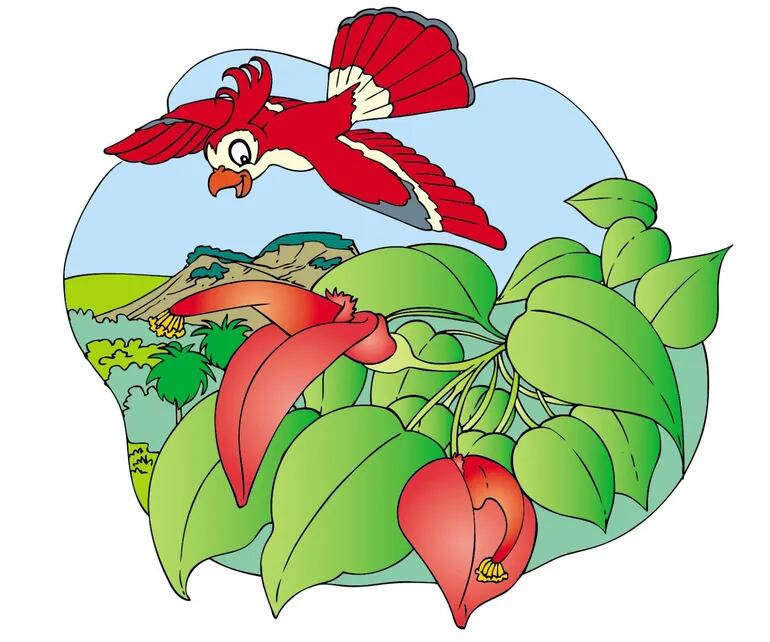 Anahí (4) (adaptación) - Escolar - ABC Color