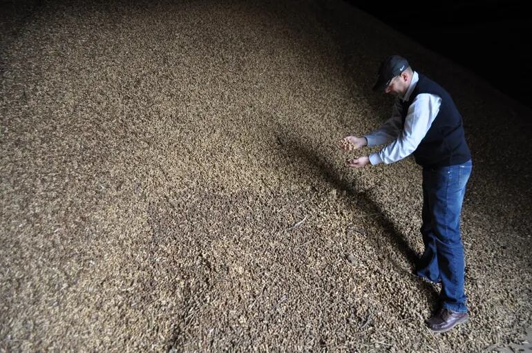 Calidad del producto y su colocación en los mercados - Robert Friesen ...