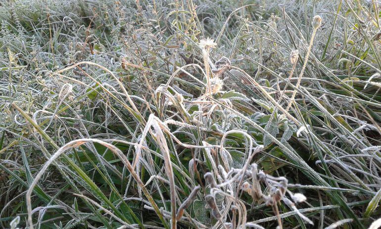 Escarchas en todo el país - Galerías de imágenes - ABC Color