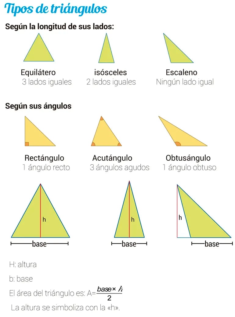 Área de triángulos - Escolar - ABC Color