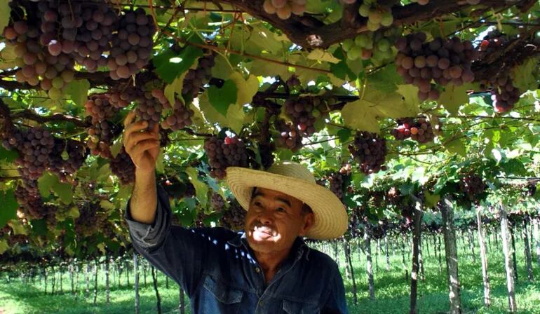 La Colmena mostrará lo mejor de su producción en la II Expo ...