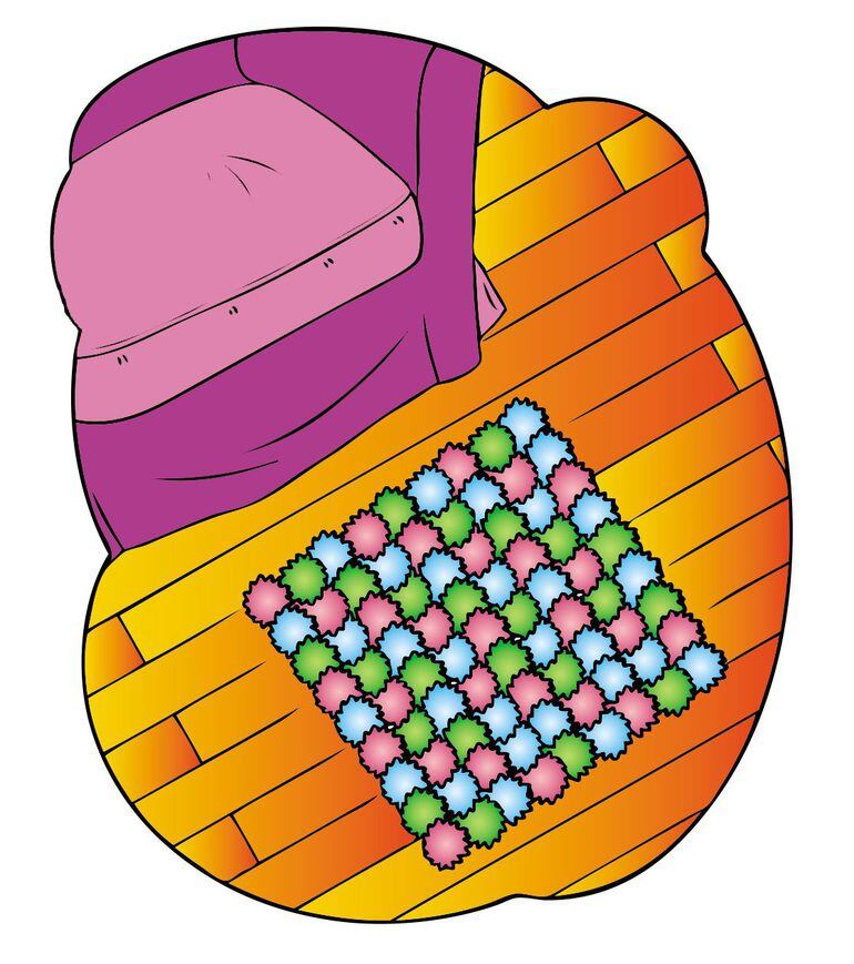 Elementos útiles para el hogar - Escolar - ABC Color