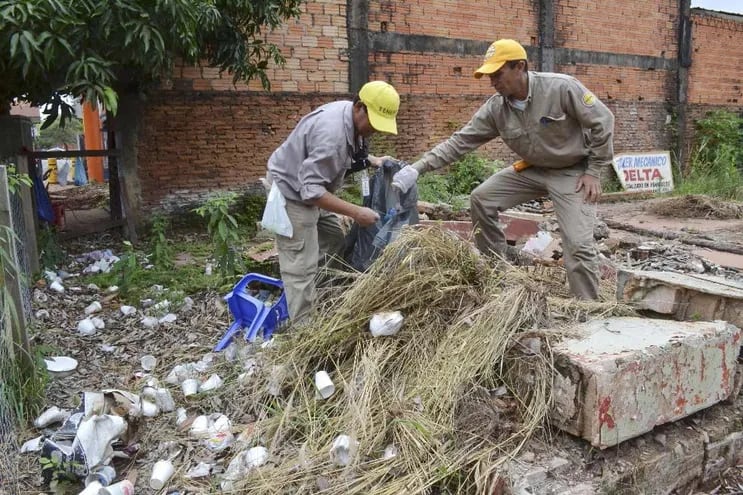 Alto índice de infestación en el Este - Locales - ABC Color