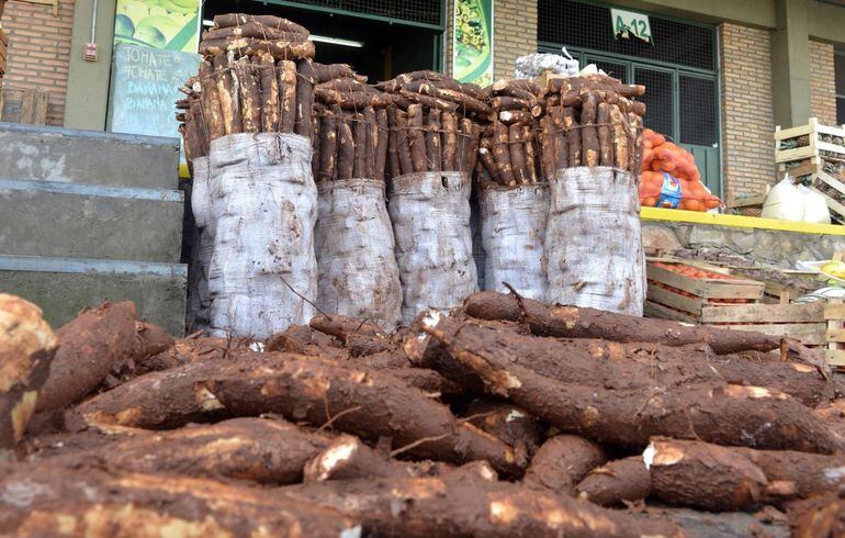 Al celebrar el Día de la Mandioca, proponen marca país al producto ...