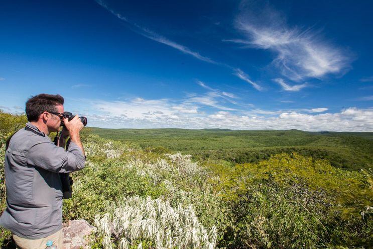 ¿Por qué proteger el Cerro León? - Notas - ABC Color