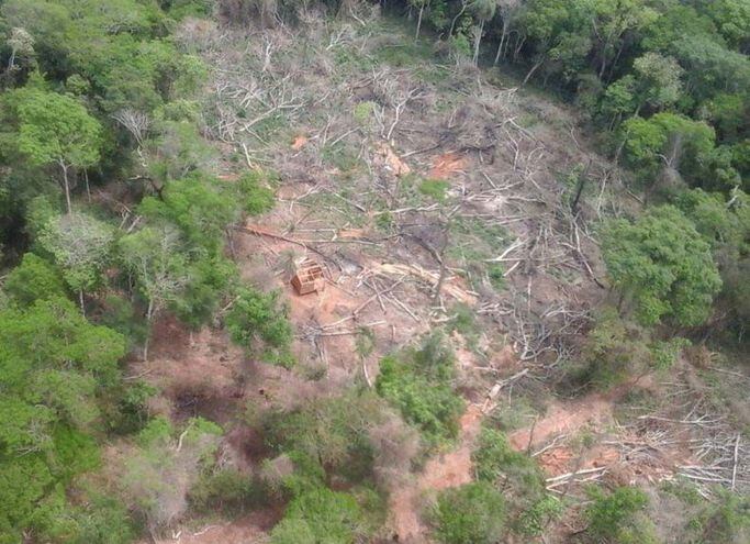 Buscarán recuperar y enriquecer bosques degradados - Nacionales - ABC Color