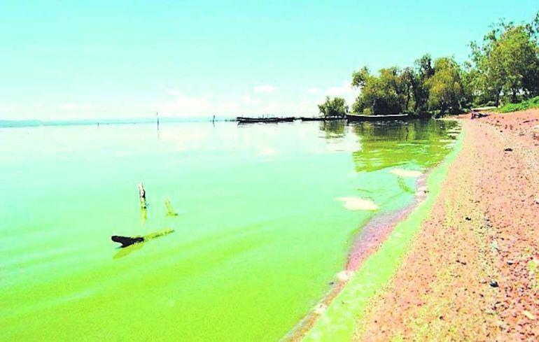 El lago Ypacaraí y su futuro - ABC Rural - ABC Color