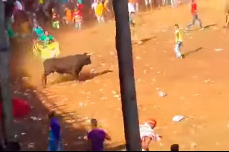 Un toro muerto a golpes por 20 personas desata la indignación en ...