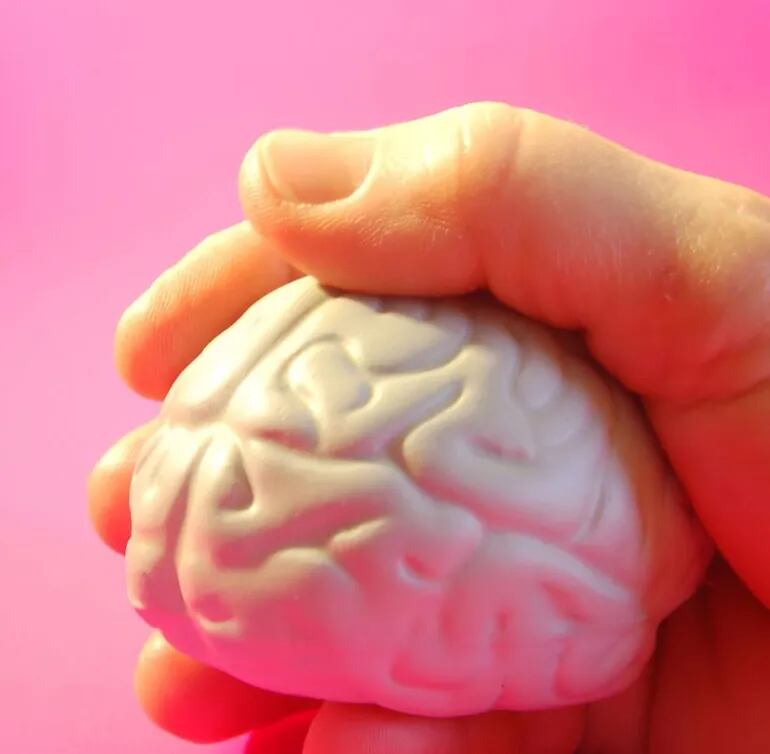 Cerebro adolescente - Salud - ABC Color