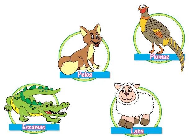 Los animales y la cobertura de su cuerpo - Escolar - ABC Color