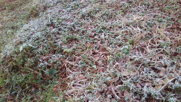 Escarchas en todo el país - Galerías de imágenes - ABC Color