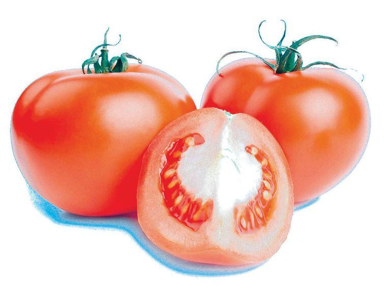 Aprovechar los tomates - Gastronomia - ABC Color