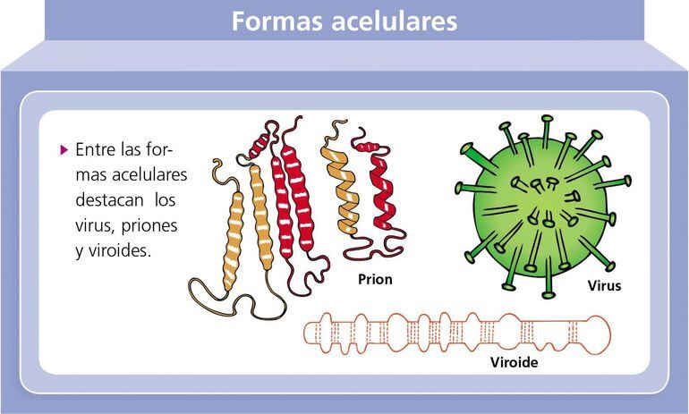 Formas no celulares - Escolar - ABC Color