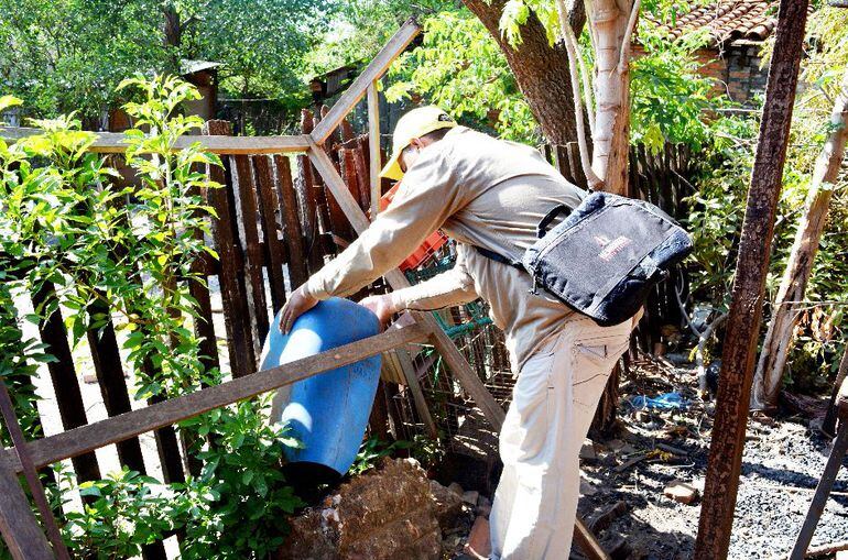 Alarmante nivel de infestación larvaria - Nacionales - ABC Color