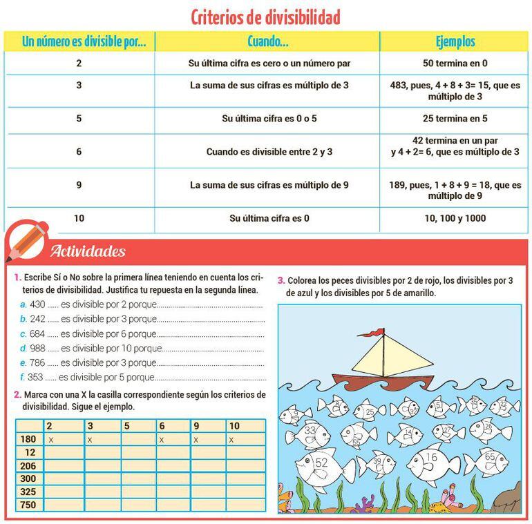 Criterios De Divisibilidad Escolar Abc Color