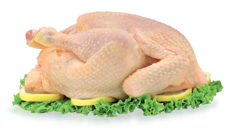 La carne de pollo - Gastronomia - ABC Color