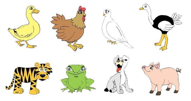 ¡Cuántas patitas! - Escolar - ABC Color