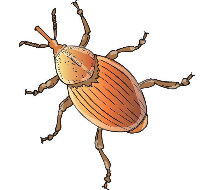 Perjudiciales (2) - Escolar - ABC Color