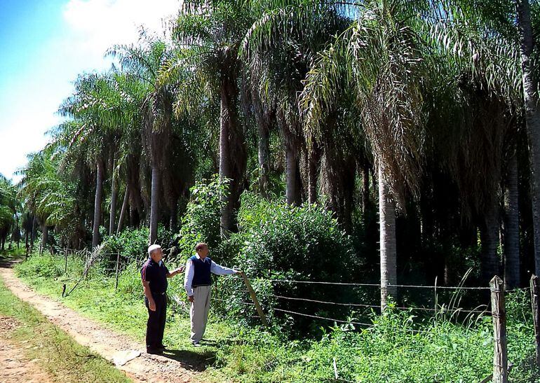 Nuevas bondades del muy útil mbokaja - Economía - ABC Color