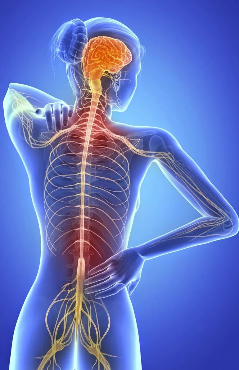 Fármaco para esclerosis - Salud - ABC Color