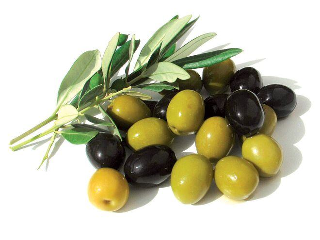 Las aceitunas - Gastronomia - ABC Color