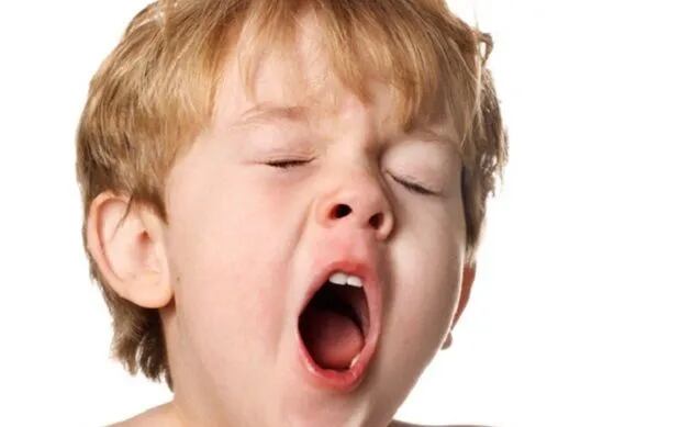 Bostezar mucho es señal de inteligencia - Ciencia - ABC Color