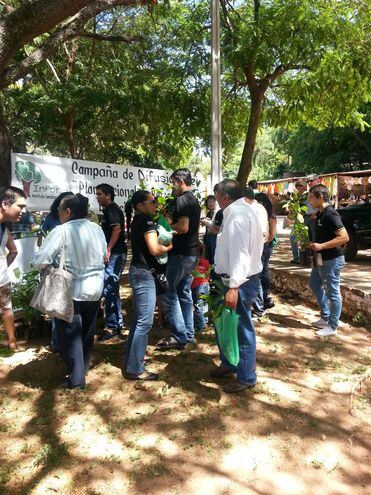 “Plan Nacional de Reforestación” - ABC Rural - ABC Color