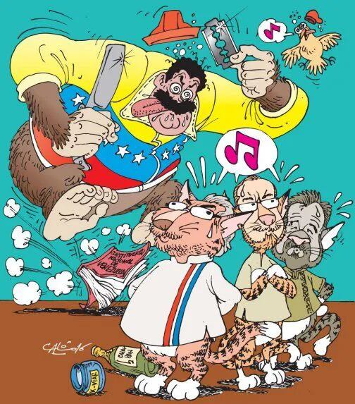 Mono con navaja - El rincón de Caló - ABC Color