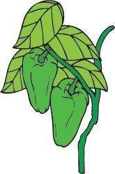 El locote - Escolar - ABC Color