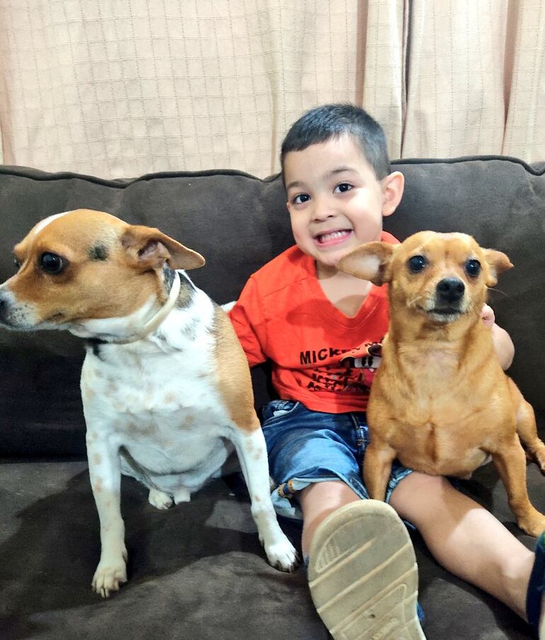 Video del disparo que acabó con la vida de perro Scrappy Doo: familia ...