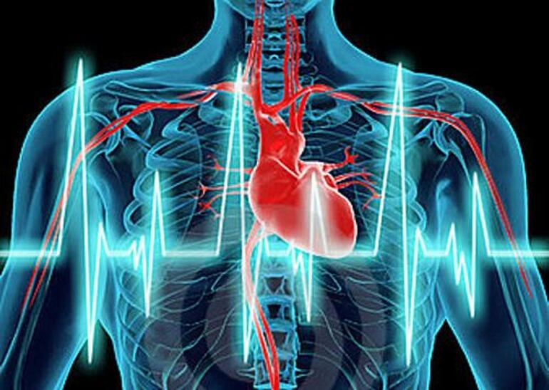 AUDIO: Especialista resalta la importancia del control cardiológico ...