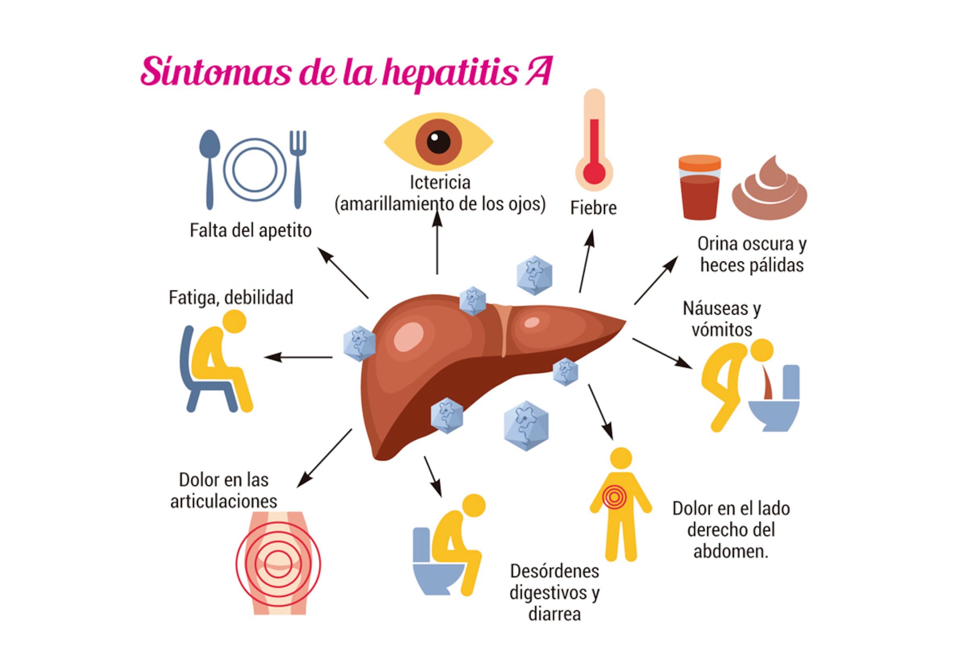 Tipos De Virus De La Hepatitis