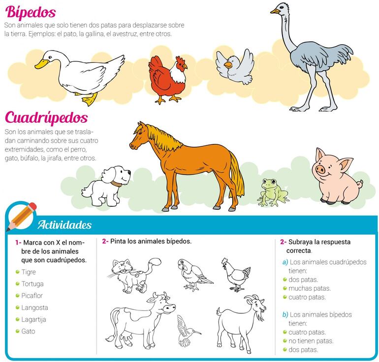 los animales que son
