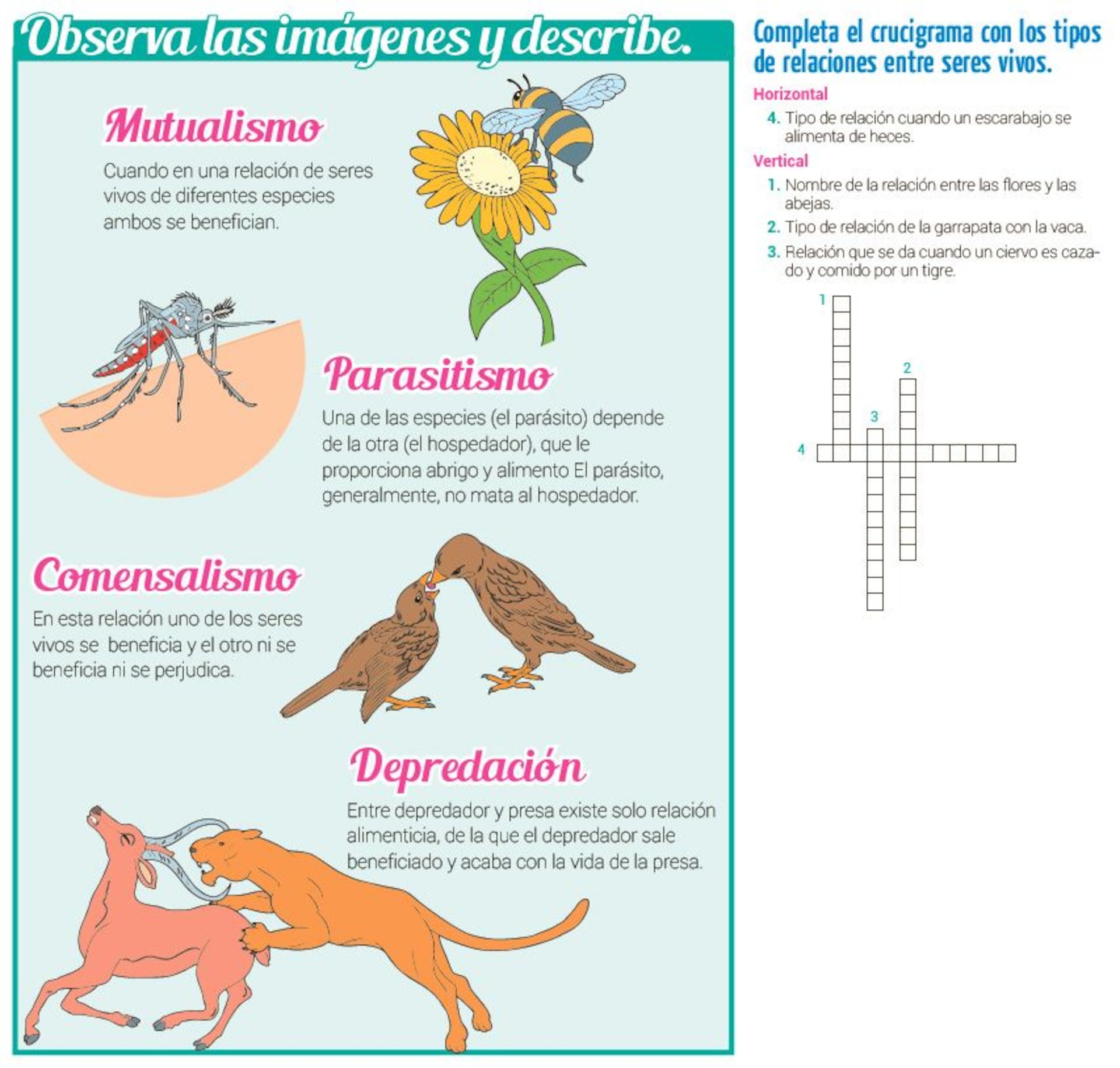 comensalismo ejemplos