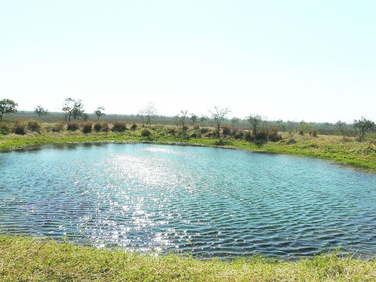 Tajamares y aguadas - ABC Rural - ABC Color