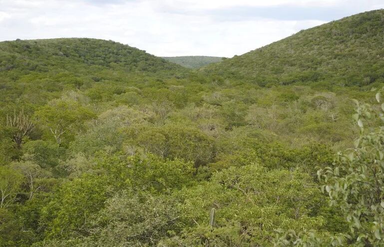Cerro León: el Estado debe protegerlo - Nacionales - ABC Color